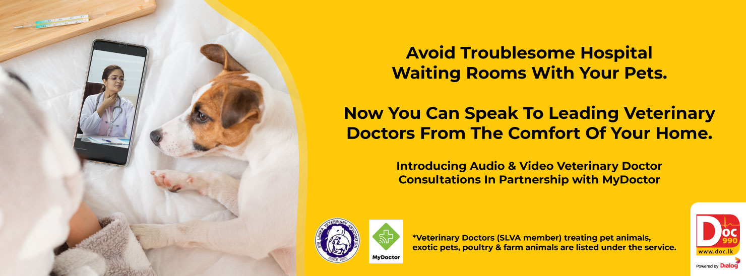 Doc990 | Channeling Made Easy